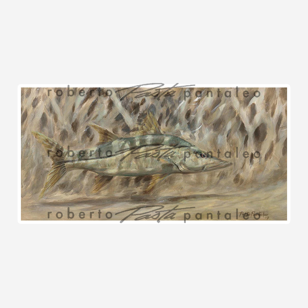 Camo Snook – Art by Pasta - Roberto "Pasta" Pantaleo