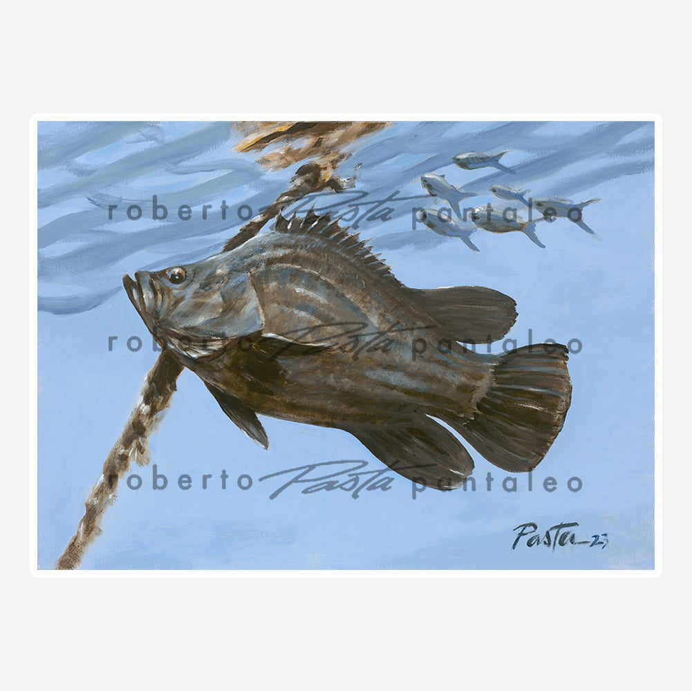 Tripletail – Art by Pasta