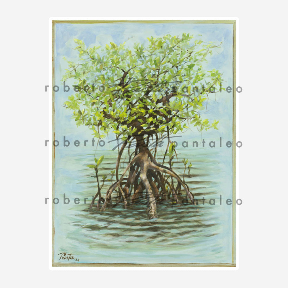 Miss Mangrove – Art by Pasta - Roberto "Pasta" Pantaleo