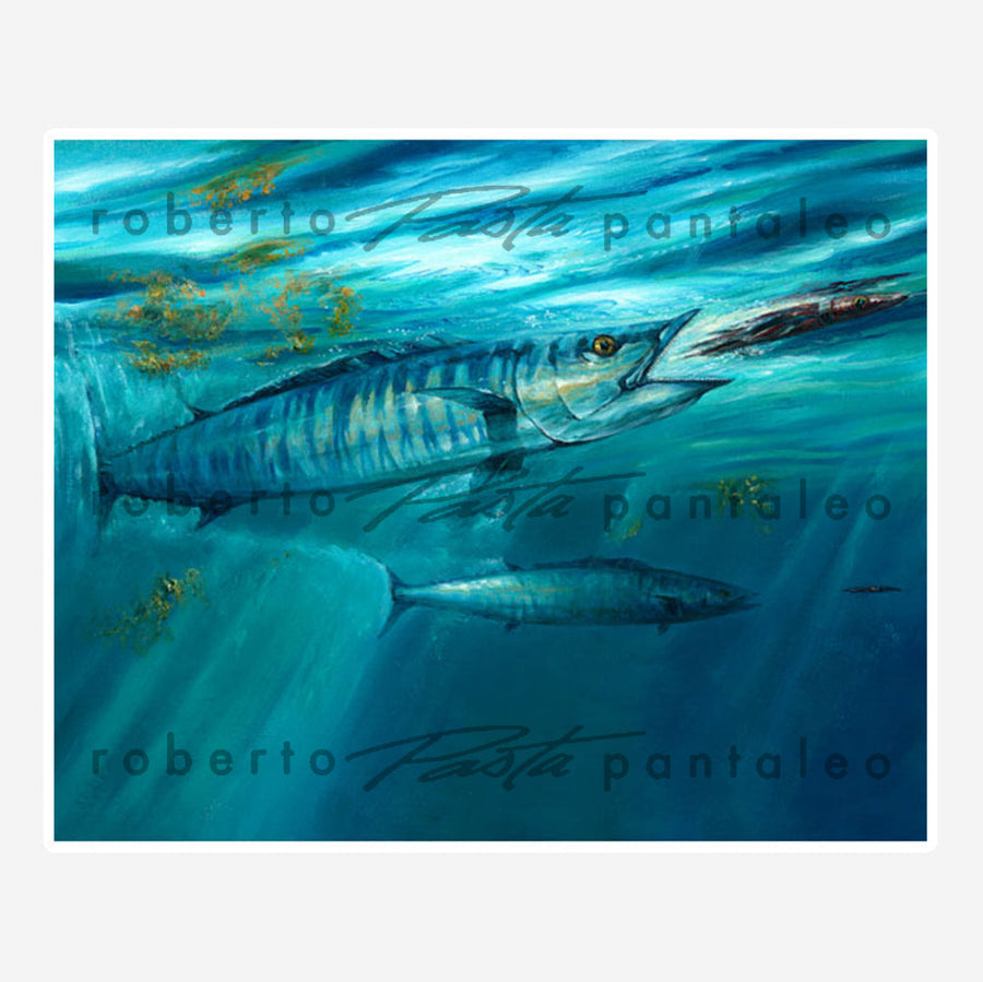 World of Saltwater Fishing TV Series – Art by Pasta - Roberto "Pasta ...