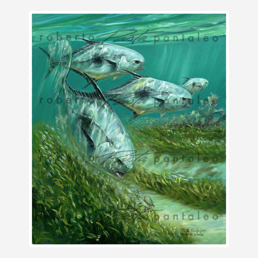 Boat Series – Art by Pasta - Roberto "Pasta" Pantaleo