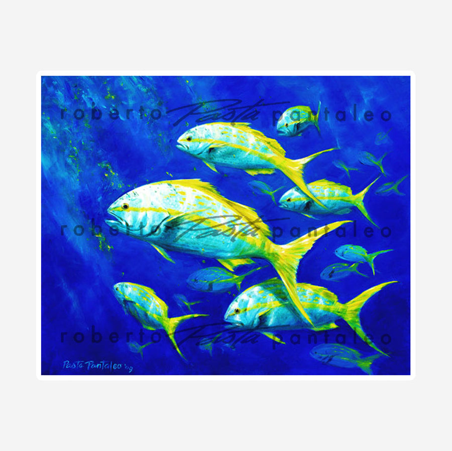 Boat Series – Art by Pasta